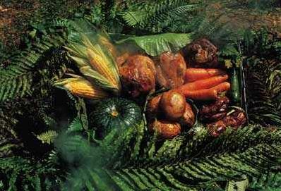 Hangi - traditional Maori food | infonews.co.nz New Zealand's local ...