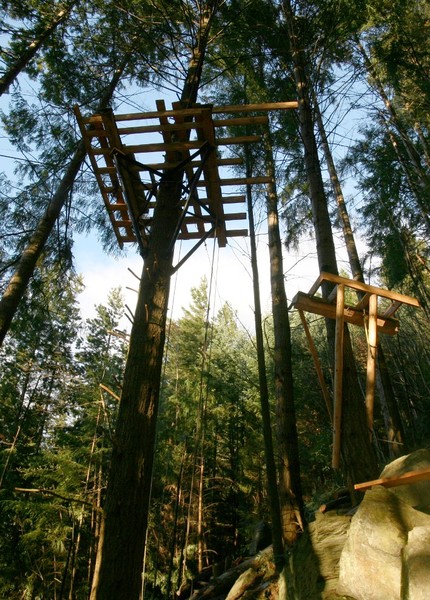 'Zip into town' with Ziptrek Ecotours | infonews.co.nz New Zealand News