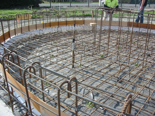 Phar Lap statue may require return of 1930 Police escort | infonews.co ...