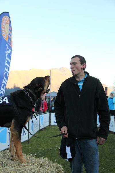 Speight's Dog Derby brings carnage to Queenstown Winter Festival ...