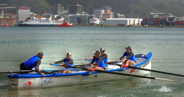 Olympic rower hunts surf success | infonews.co.nz New Zealand News