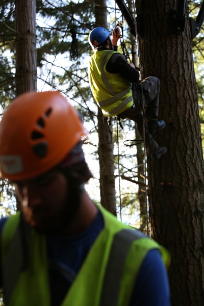 'Zip into town' with Ziptrek Ecotours | infonews.co.nz New Zealand News