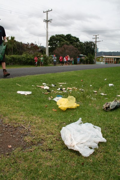 Support for litter bylaw | infonews.co.nz New Zealand News