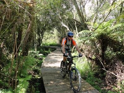 New cycle trails on track for NZ summer | infonews.co.nz New Zealand News