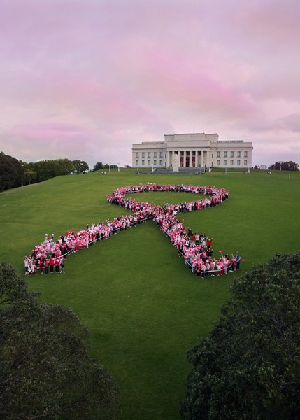 The Canon 'Big Pink Pic' | infonews.co.nz New Zealand News