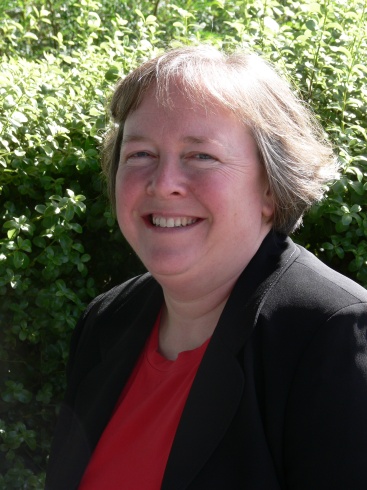 IBIS Technology appoints two-person team to rollout new software ...